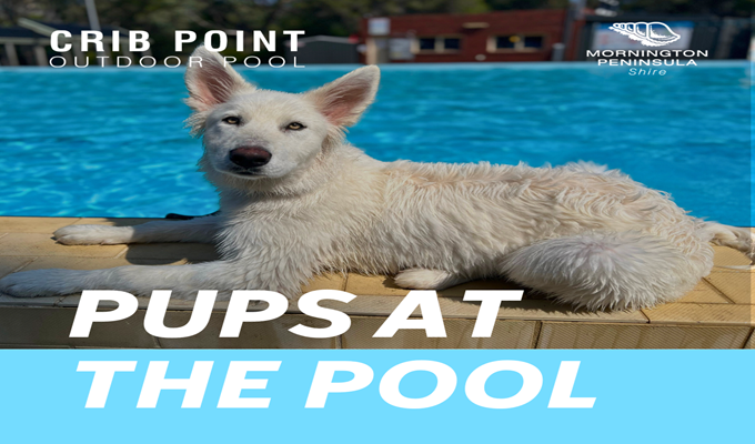 Home - Crib Point Pool